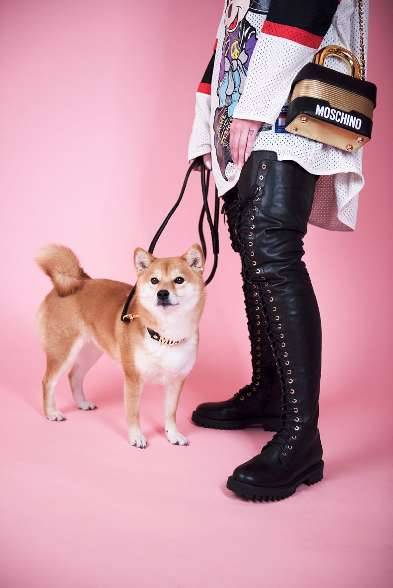 Mode : Photoshoot Moschino x Disney avec Nanami - Lazy Kat